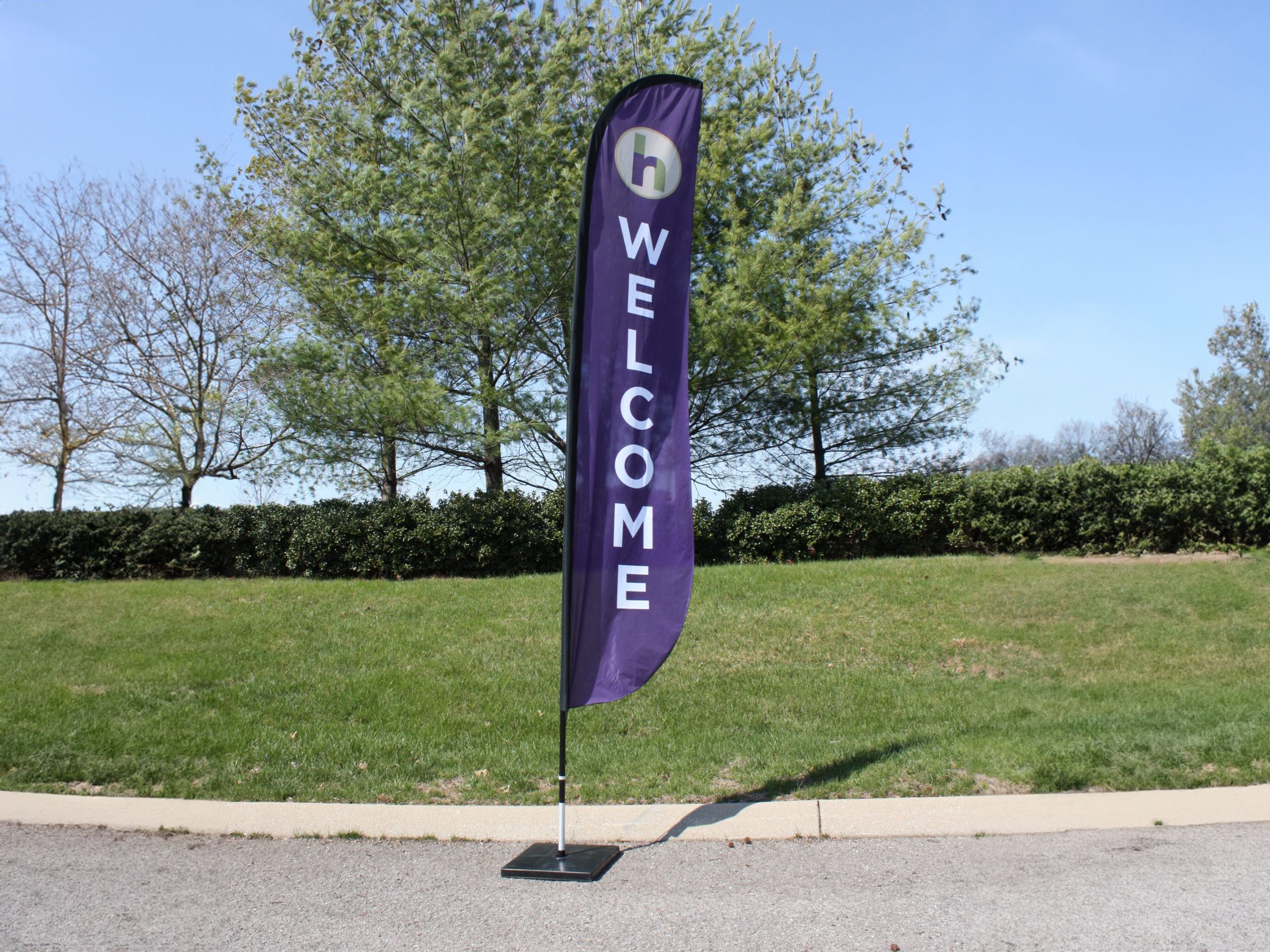 Flags - Endless Edge